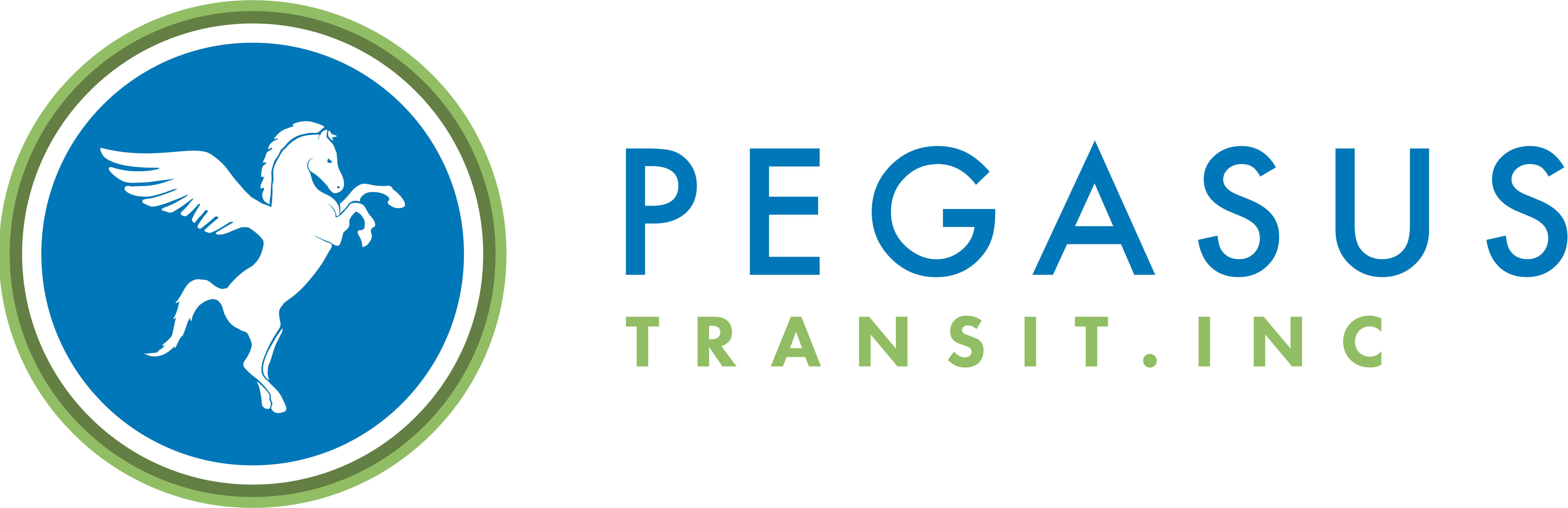 Pegasus TMS
